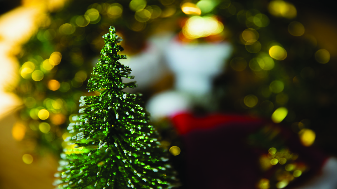 Tips Merayakan Natal dirumah ! | Sakura Sejahtera